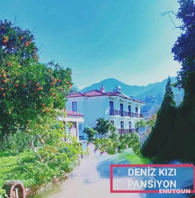 Deniz Kizi Pansiyon | ENUYGUN