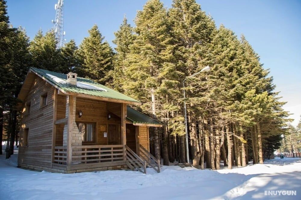 Uludag Orman Koskleri | ENUYGUN